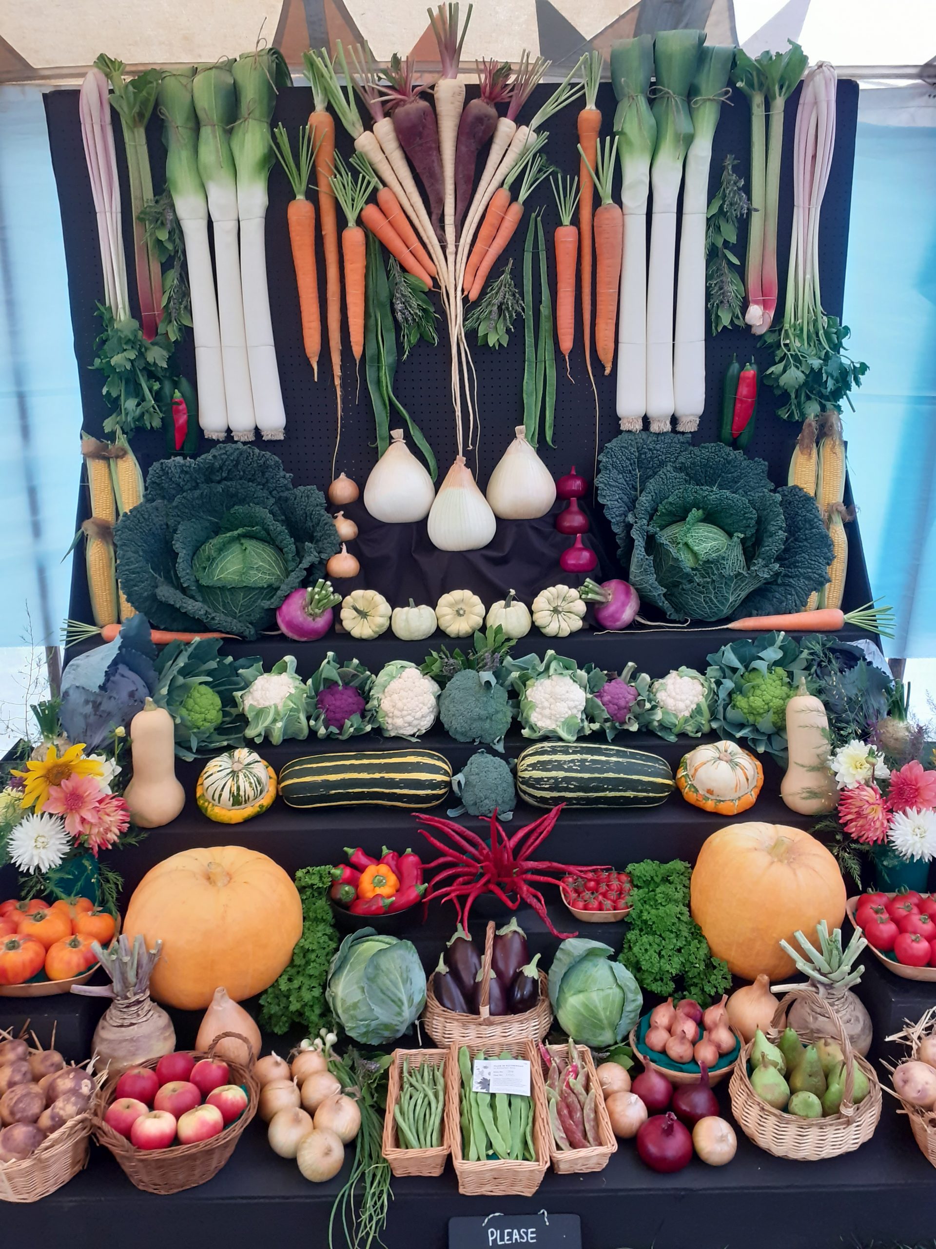 Rotherham Show Success – Rotherham Allotment Alliance