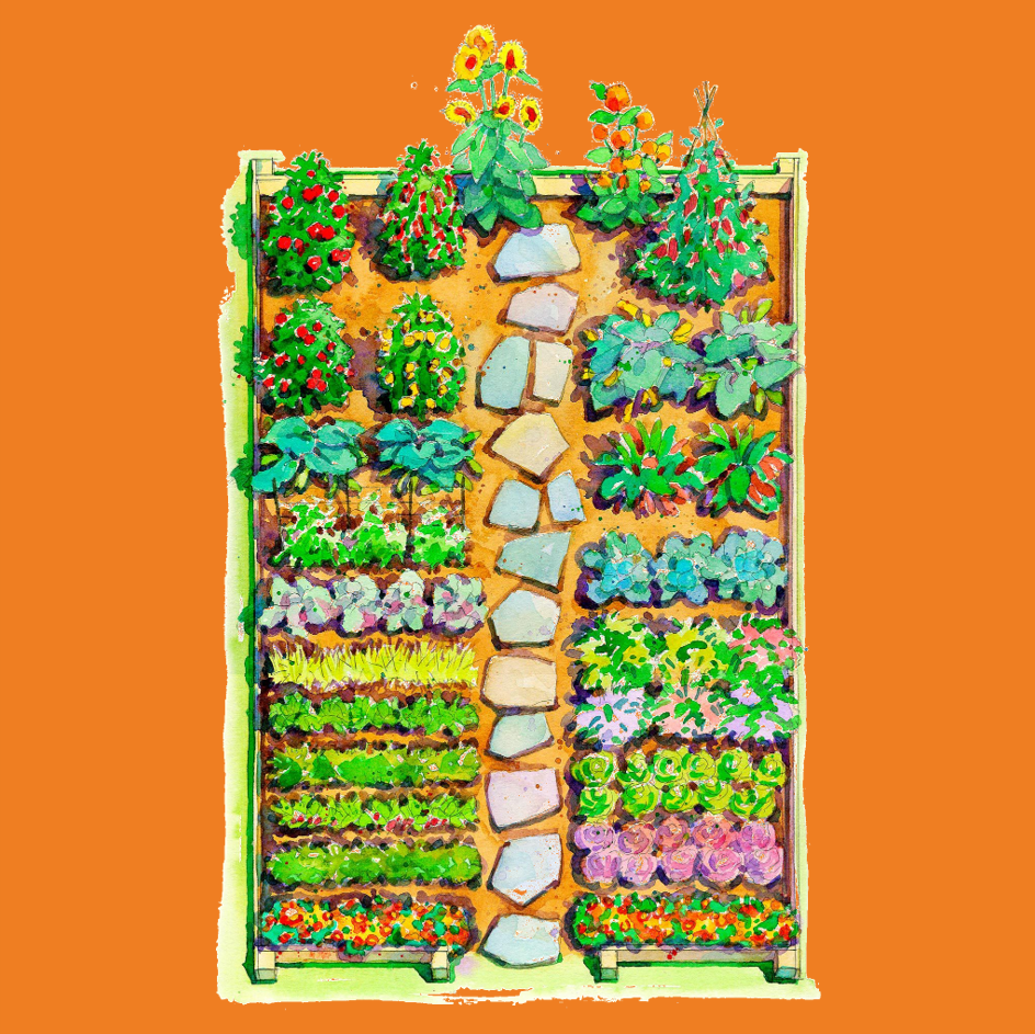 Getting Started – A Guide for New Tenants – Rotherham Allotment Alliance