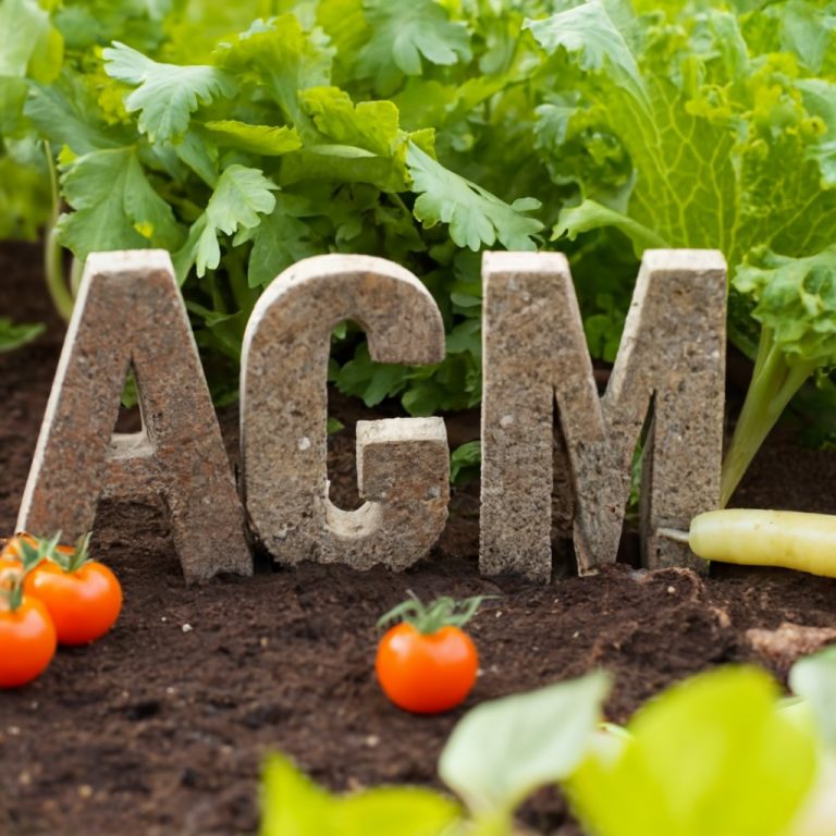 Annual General Meeting 2024 – Rotherham Allotment Alliance